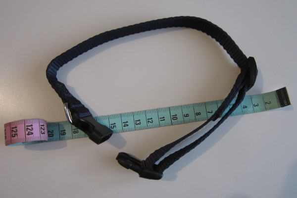 Choisir un collier BDSM : les colliers pour chats :: Univers-BDSM